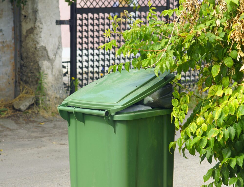 Understanding Different Types of Sanitation Services and Their Benefits ...
